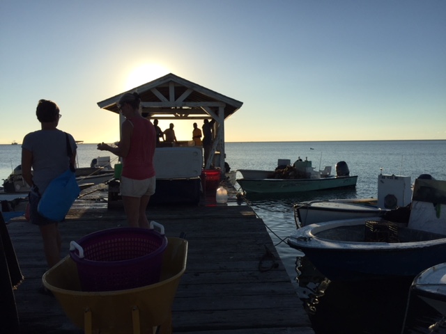 Checking out Moore's Island Bahamas - Low Flite