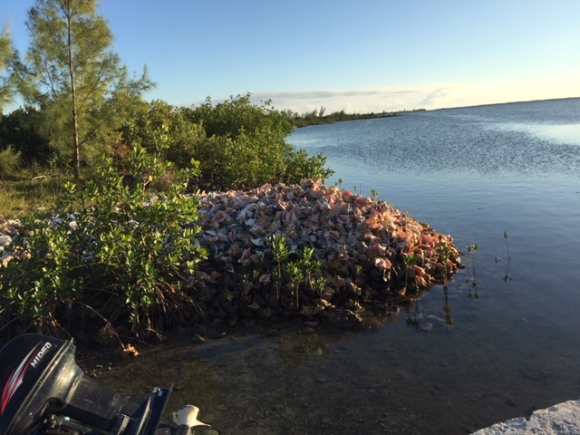 Checking out Moore's Island Bahamas - Low Flite