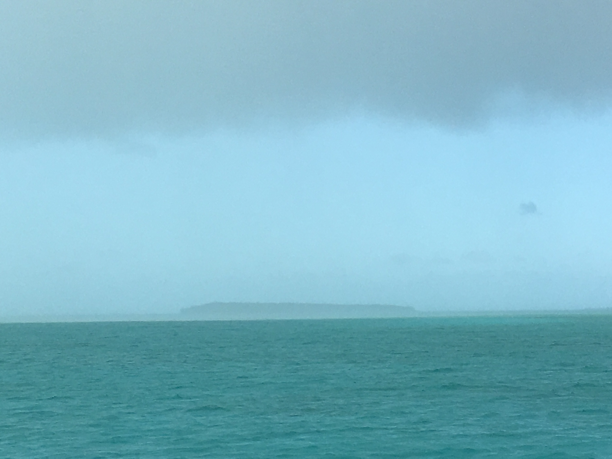 Entertaining Dolphins to Little Farmers Cay - Low Flite