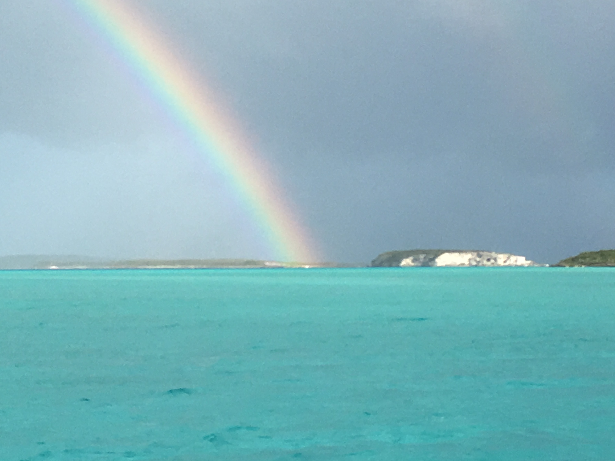 Entertaining Dolphins to Little Farmers Cay - Low Flite