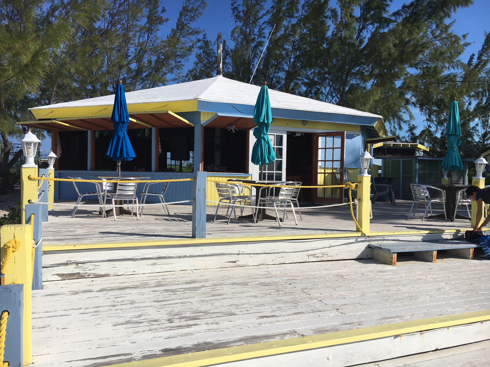 Entertaining Dolphins to Little Farmers Cay - Low Flite