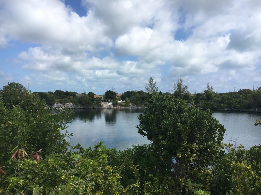 Rock Sound Eleuthera - Low Flite